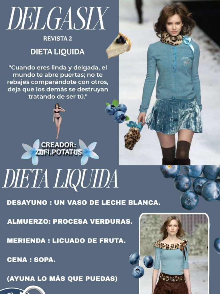Delgasix Dieta Liquida Zufi - Potatus | PDF
