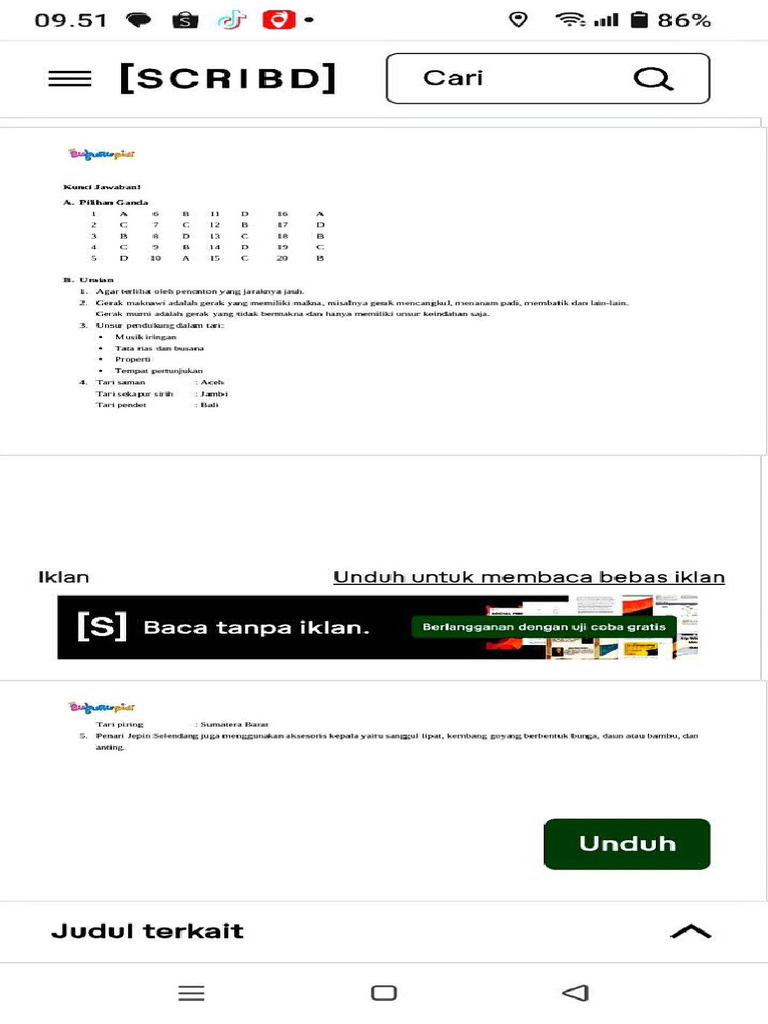 PDFReader 20250611 0954 | PDF