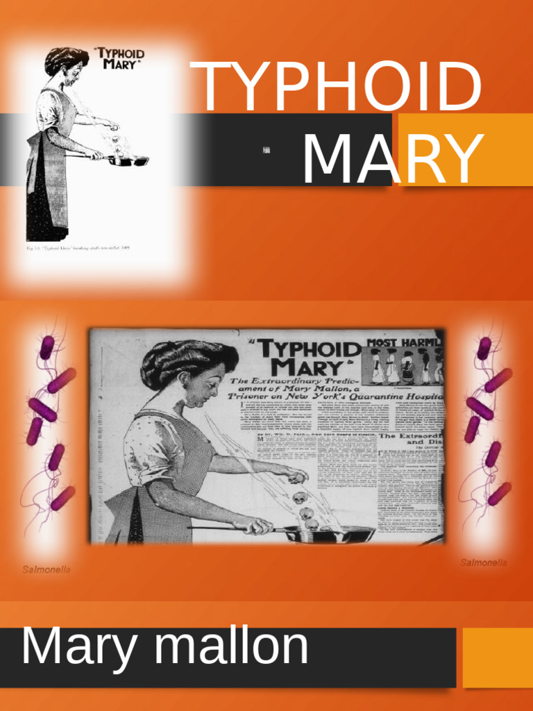 Typhoid Mary | PDF