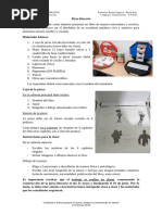 Proyecto de Lectura. La Pizza Literaria. Lengua Materna Español. | PDF