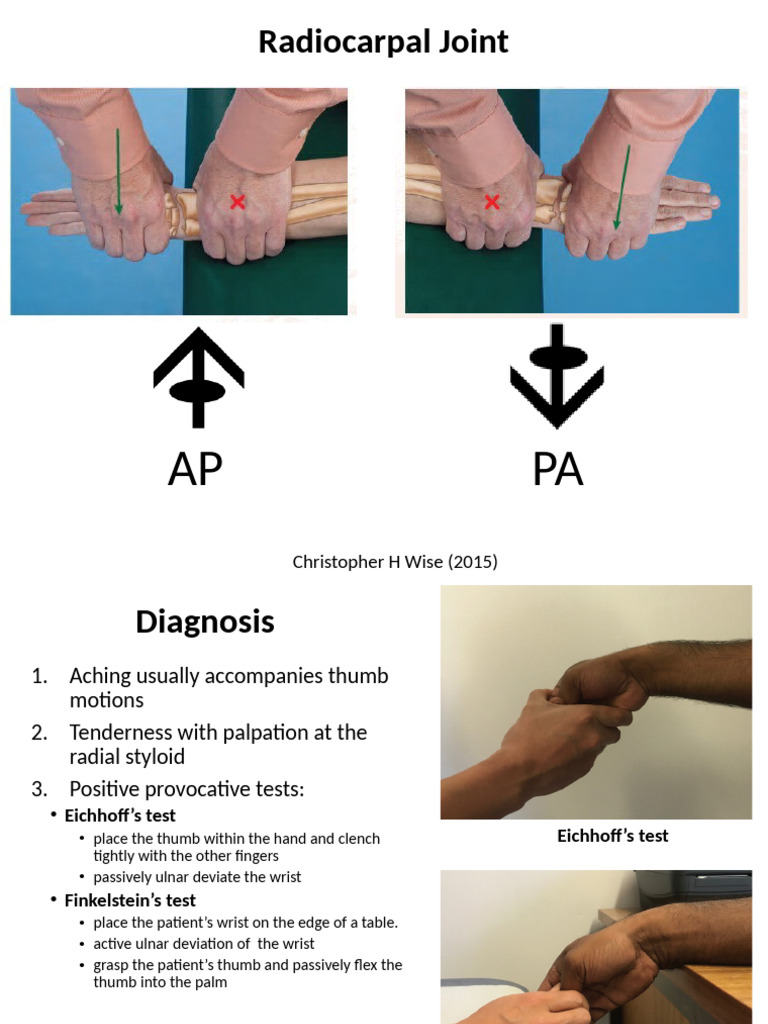 2023 Corrections MPT MSKI Wrist Tutorial Practical | PDF
