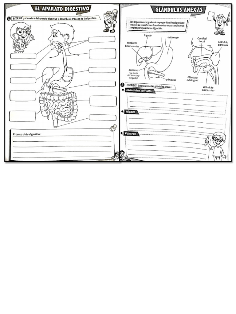 FICHA DE CyT 250425 | PDF