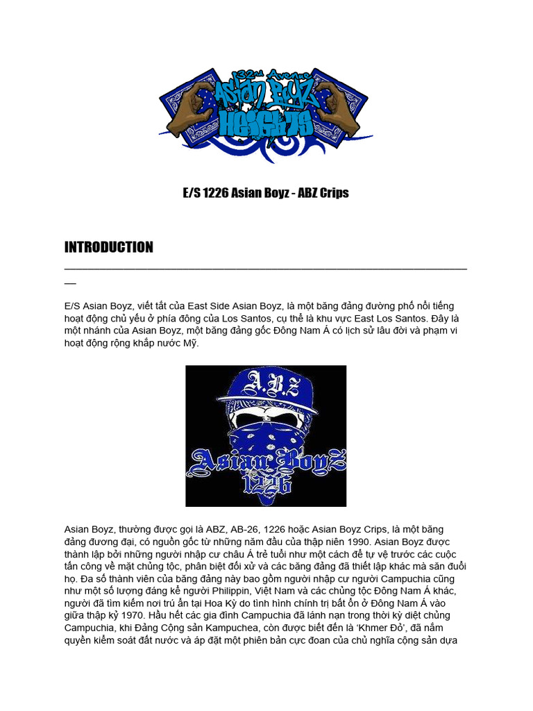 E - S 1226 Asian BoyZ | PDF