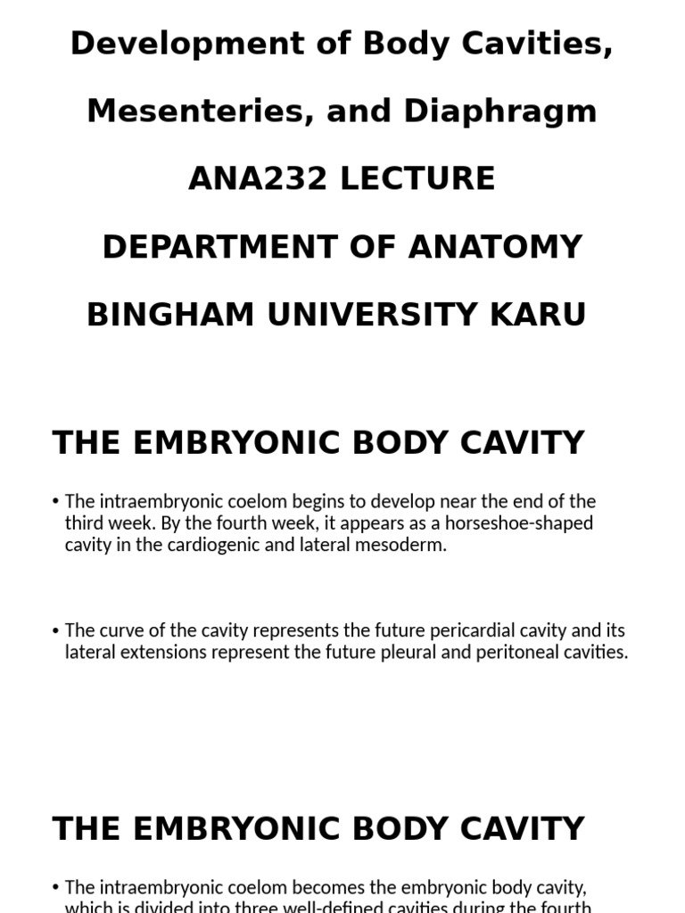 Ana232 Body Cavities | PDF | Peritoneum | Thorax (Human Anatomy)