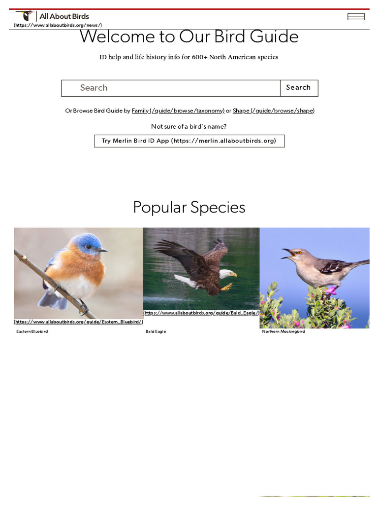 All About Birds, Cornell Lab of Ornithology | PDF | Ornithology | Birds