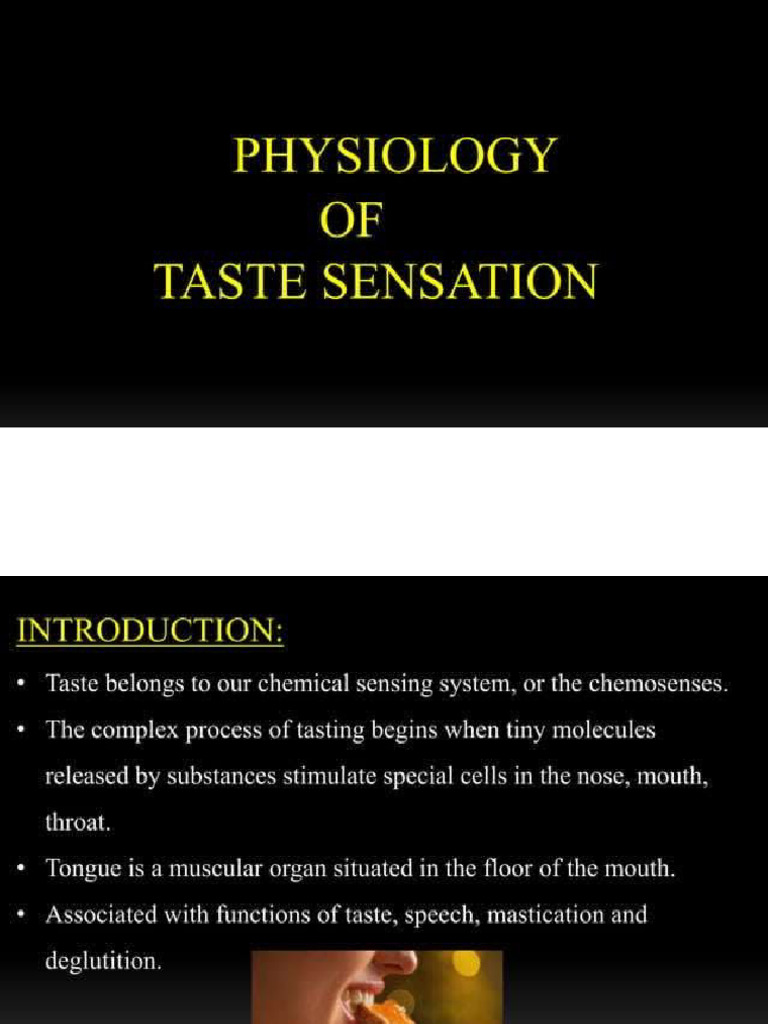 Taste Pathway in Tounge | PDF
