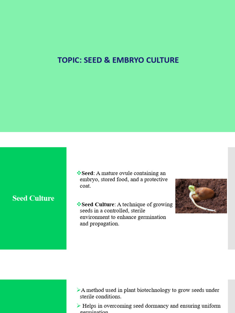 Seed and Embryo Culture | PDF | Seed | Embryo