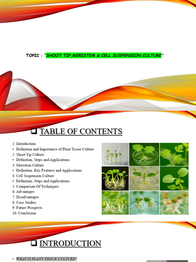 Shoot Tip and Meristem Culture | PDF | Plants | Organisms