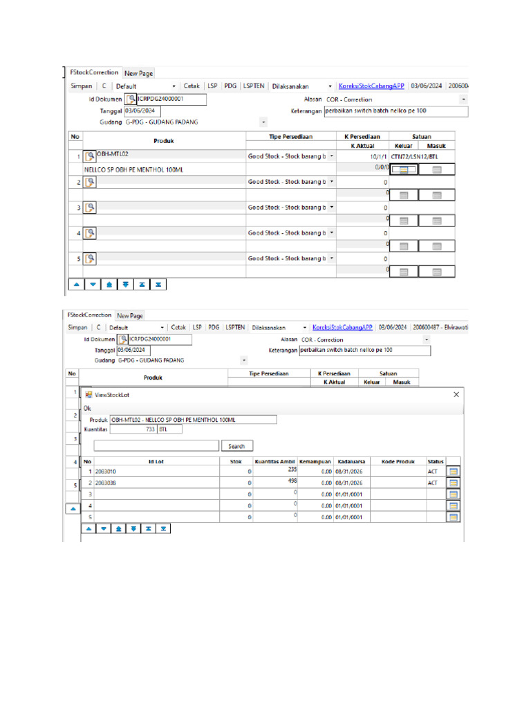 Tutorial Koreksi Batch | PDF