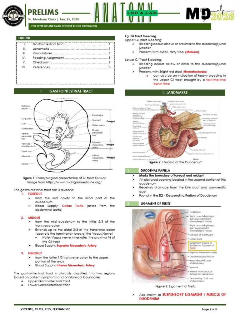 (Anat) p.05 Upper Git and Small Intestine Blood Circulation | PDF ...
