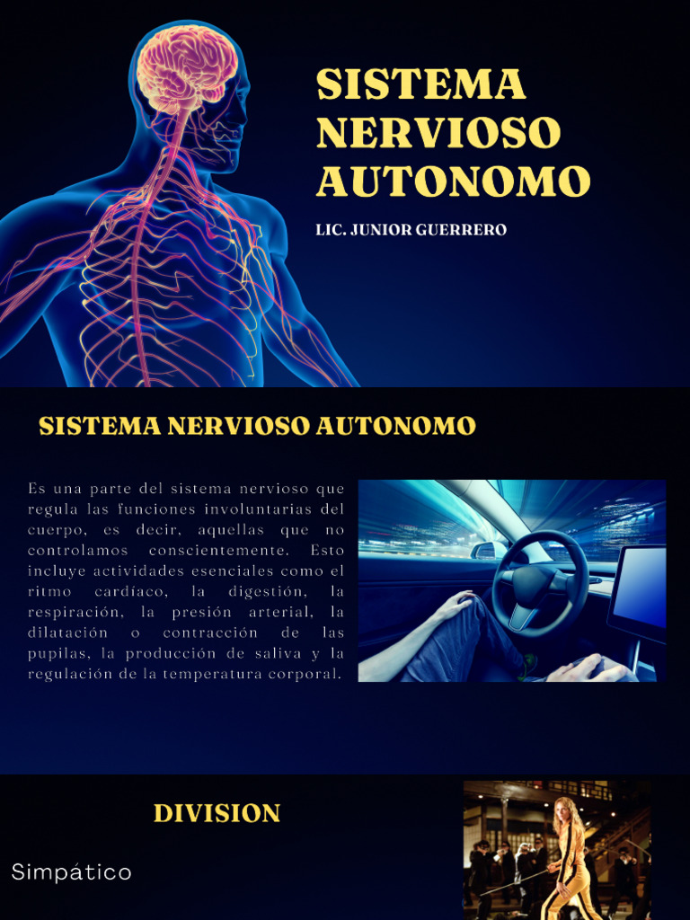 SNA | PDF