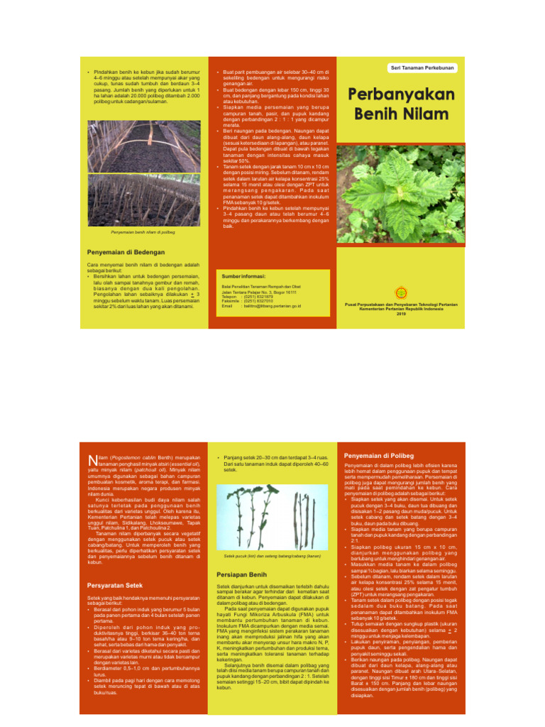 Perbanyakan Tanaman Nilam Pdf