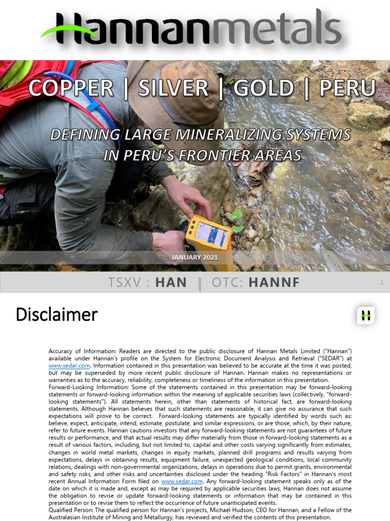 Hannan Metals Jan 2021 | PDF | Risk | Reliability Engineering