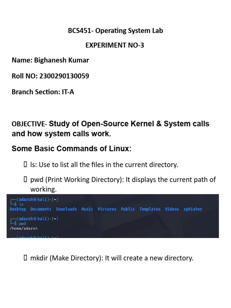 Bighanesh Kumar - 2300290130059 - OS Lab 3 | PDF