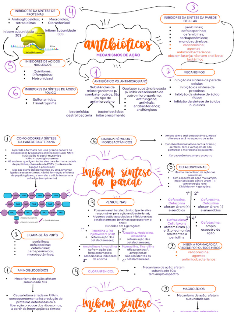 Mapa Mental - Antibióticos | PDF
