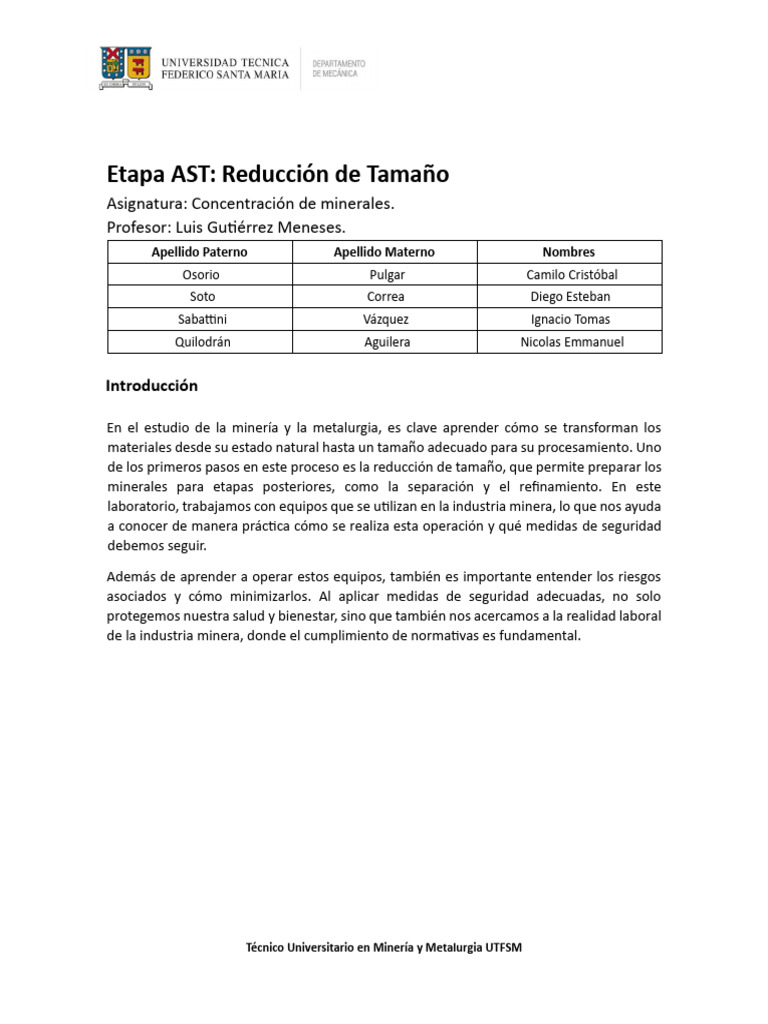 Informe AST | PDF | Minería | Laboratorios