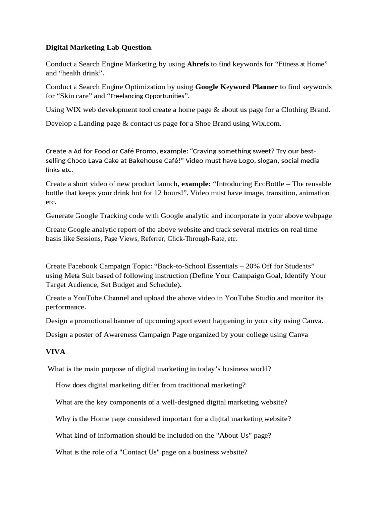 Digital Marketing Lab Question | PDF | Digital Marketing | Websites
