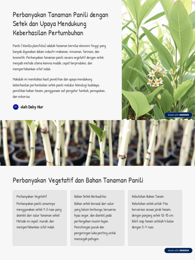 Perbanyakan Tanaman Panili Dengan Setek Dan Upaya Mendukung ...