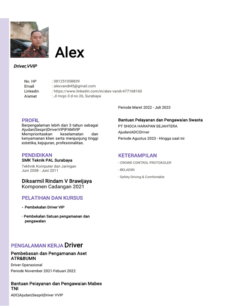 CV Alex | PDF
