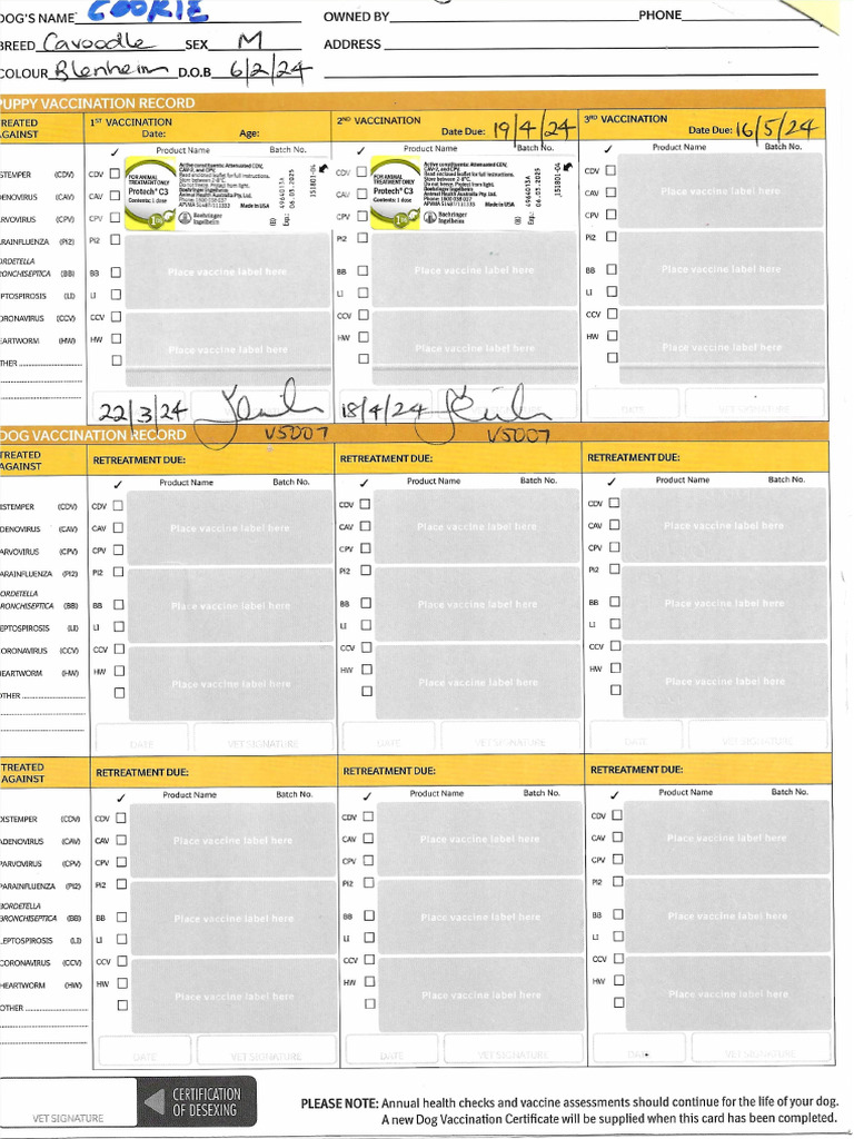 Cookie Immunization Record | PDF
