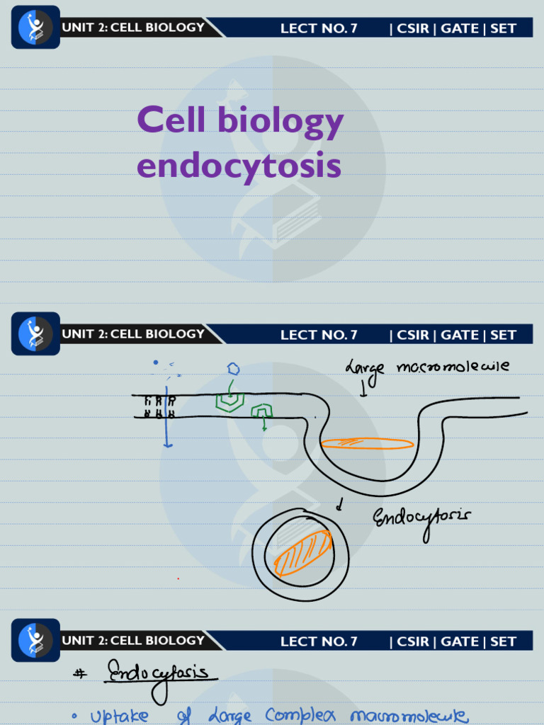 L07 Endocytosis | PDF