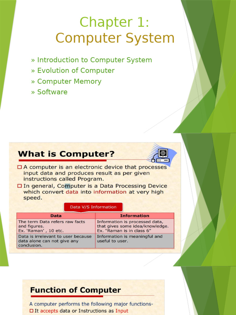 Chapter 1 - Computer System | PDF | Computer Data Storage | Comma Separated Values