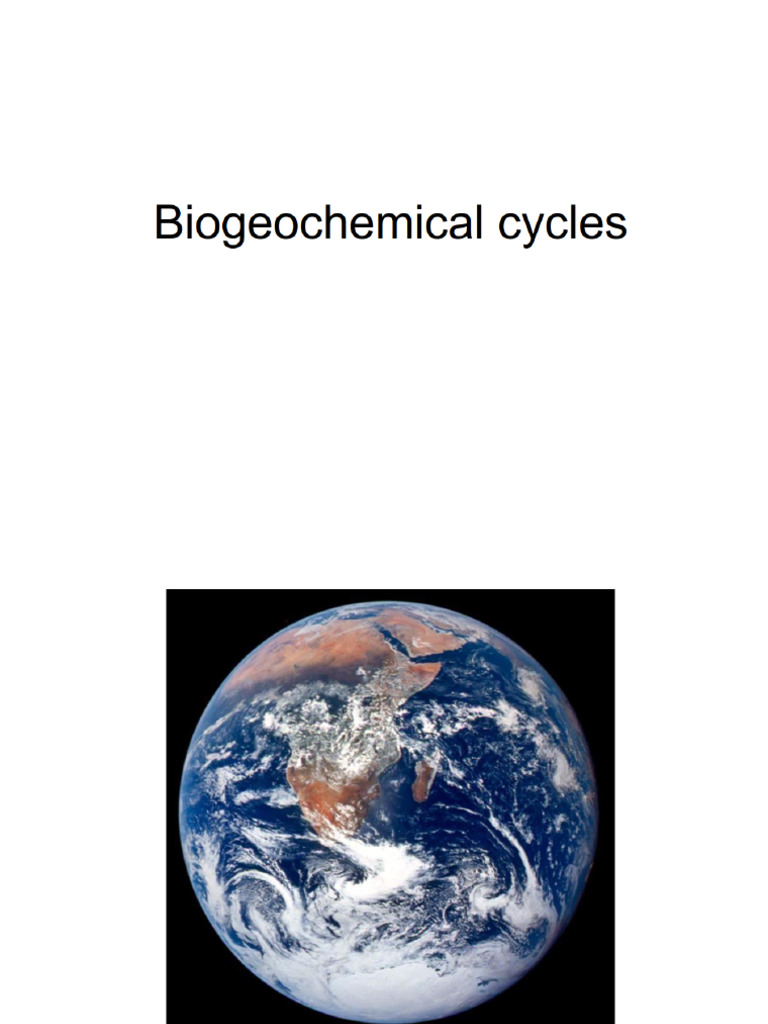 Lesson 4 Ecology - Biogeochemical Cycles | PDF