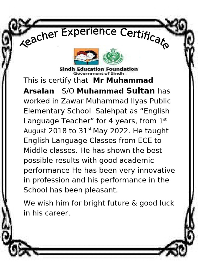 Experience Sir Arsalan | PDF