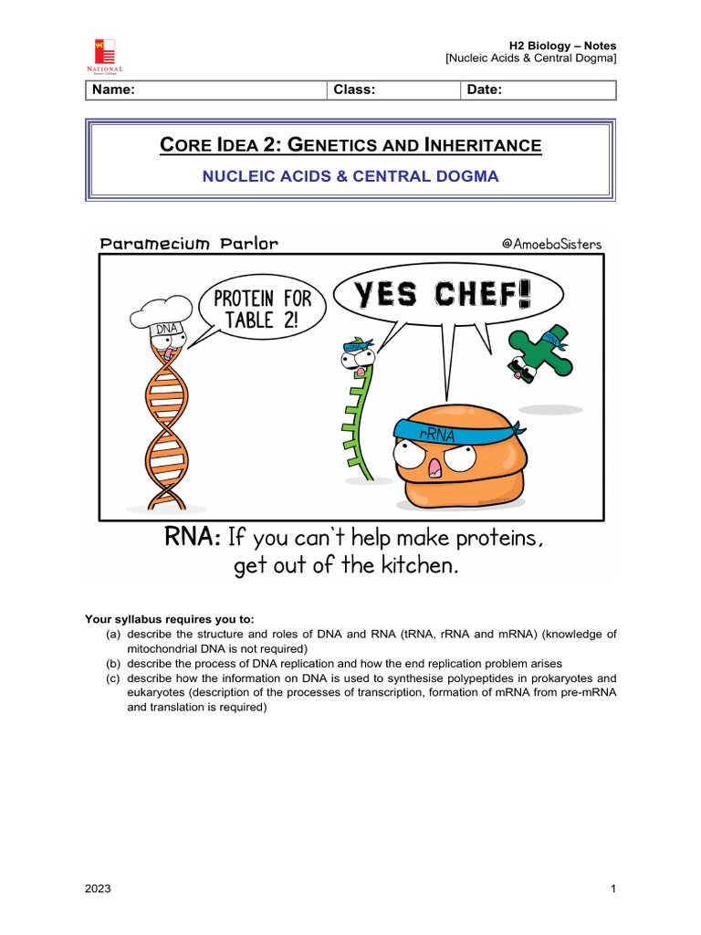 Nucleic Acids Central Dogma Part One | PDF | Dna | Rna