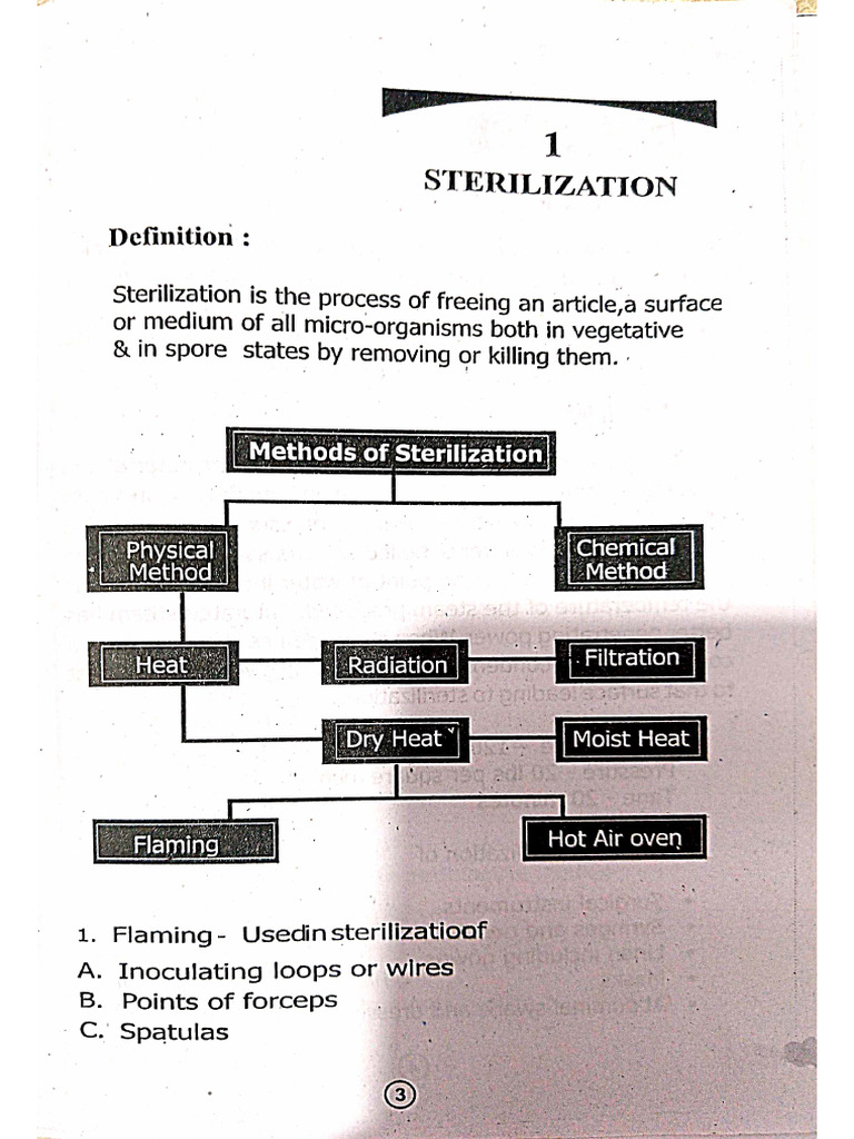 Sterilization | PDF