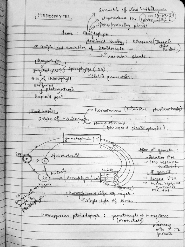 Photos Wala Notes | PDF