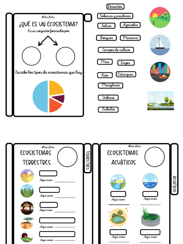 Flipbook Ecosistemas (Castellano) .PDF Imprimir | PDF | Ecosistema ...