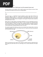Mathematics of Egg Shape Geometry | PDF | Ellipse | Geometry