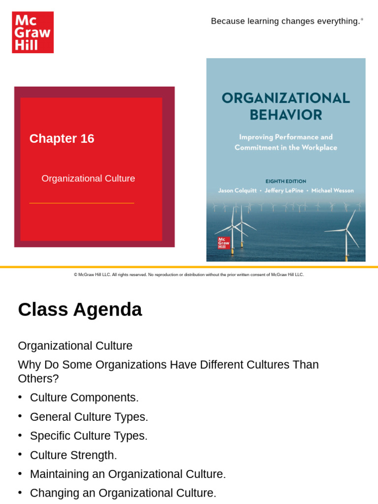 Colq8 PPT Ch16 Final Accessible | PDF | Organizational Culture | Socialization