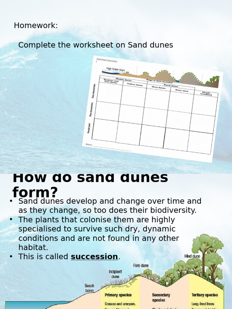 L6 Sand Dunes Homework 14 | PDF | Dune | Soil