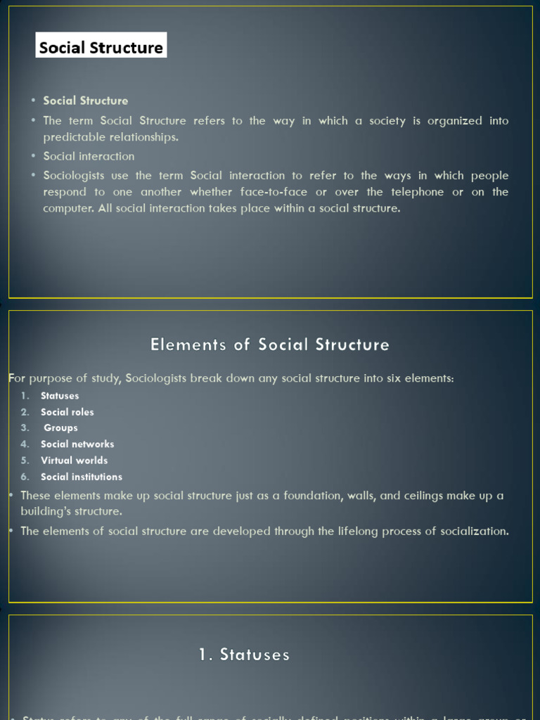 Elements of Social Structure Explained | PDF | Employment | Social Network