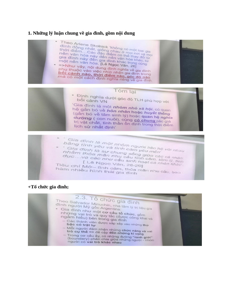 Nội Dung Chính TLH Gia Đình | PDF