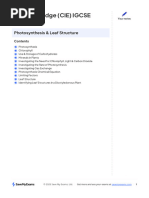 Destarching The Leaf | PDF | Photosynthesis | Leaf