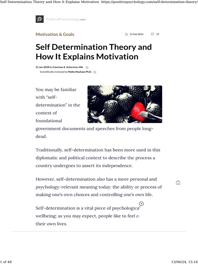 Self Determination Theory and How It Explains Motivation | PDF | Motivational | Motivation