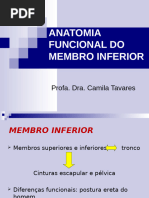 Tabela Musculos Membro Inferior | PDF | Quadril | Joelho