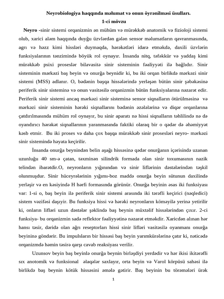 NEYRO | PDF
