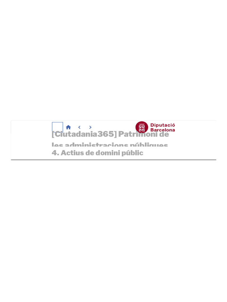 Actius de Domini Públic | PDF