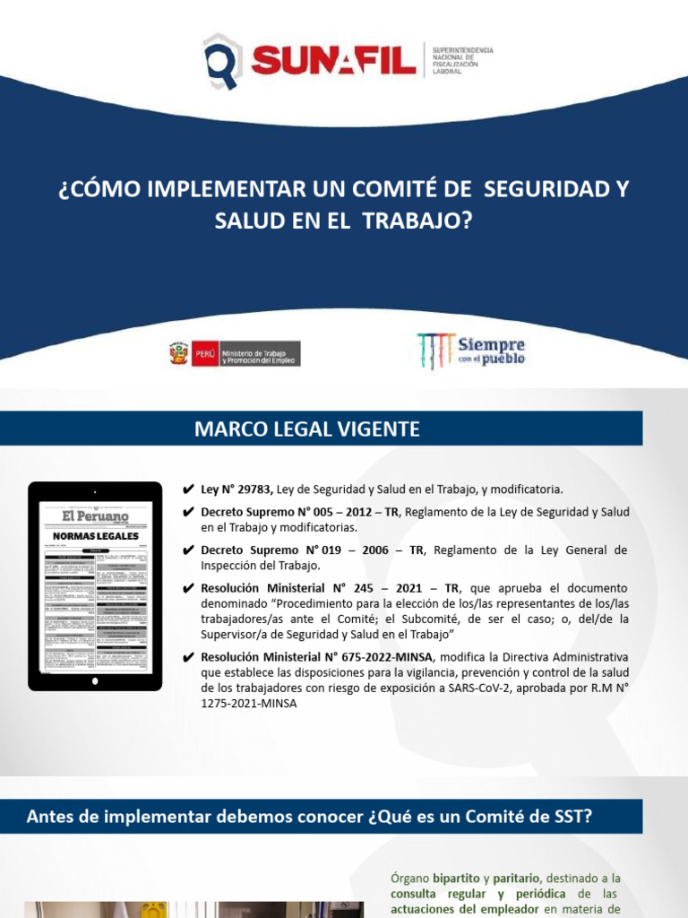 C-Mo Implementar Un Comit - de SST - 2022 | PDF | Gobierno