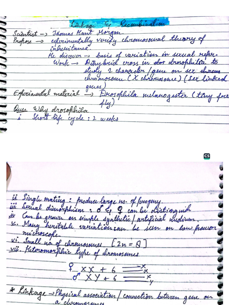 Linkage & Recombination (Part 1) Class XII | PDF