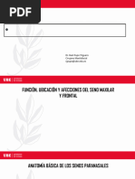 Técnicas de Rayos X para Senos Paranasales | PDF | Nariz humana ...