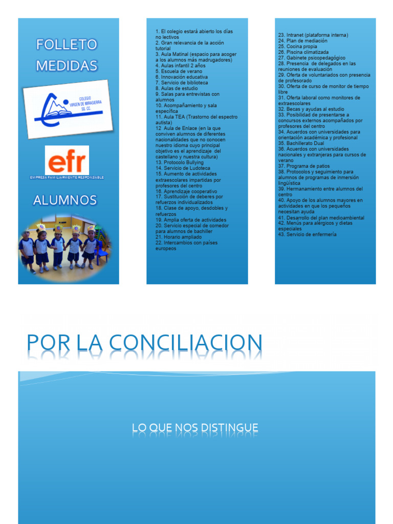 Folleto Medidas Efr Alumnos | PDF | Autismo
