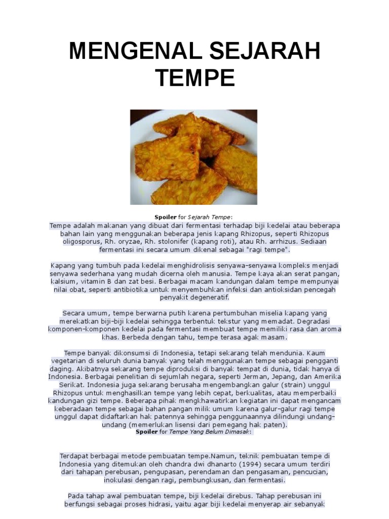 Sejarah Tempe | PDF