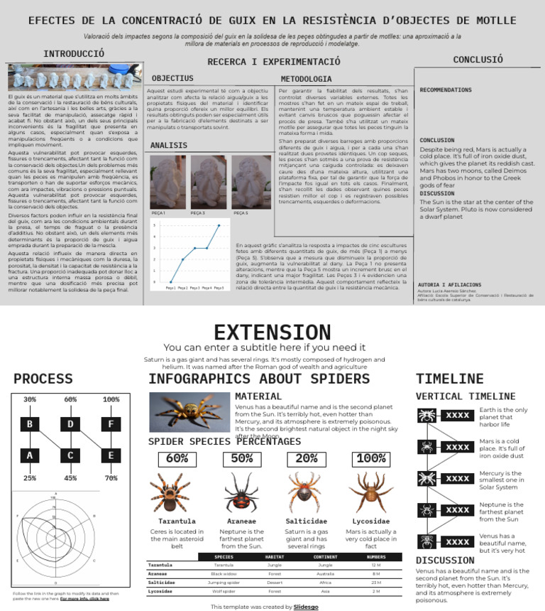 Poster Científic Sobre El Guix | PDF