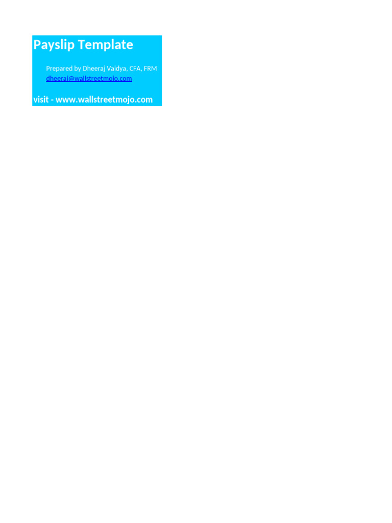 Payslip Template Overview | PDF