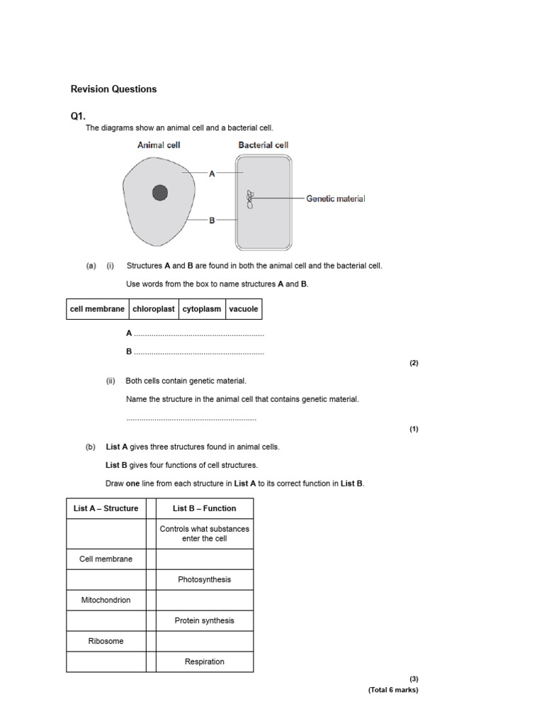 Microbes and Diseases Past Paper | PDF | Cell (Biology) | Oxide